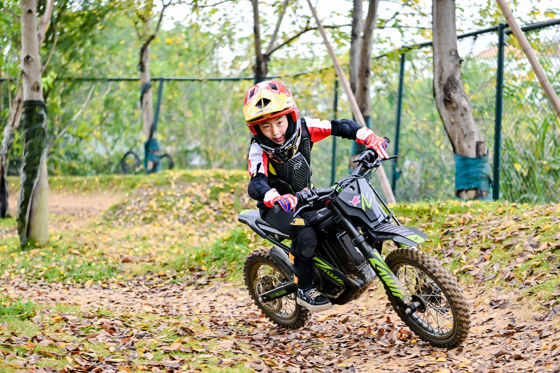 RAWRR Electric Off-road Dirtbike: 72V Mantis Mini R17 – rawrrmantis