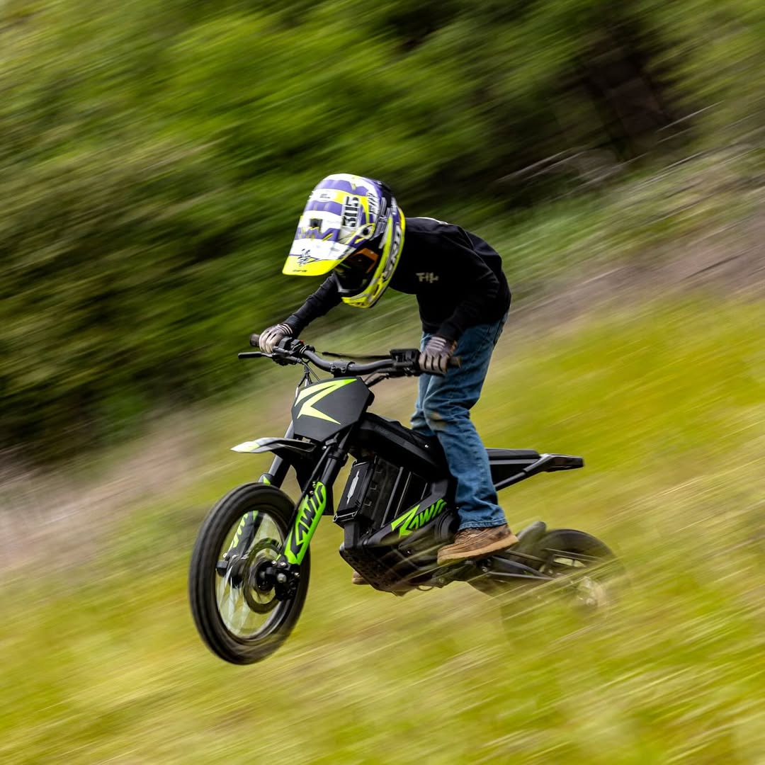 RAWRR Mantis | Global Market Official Site – rawrrmantis